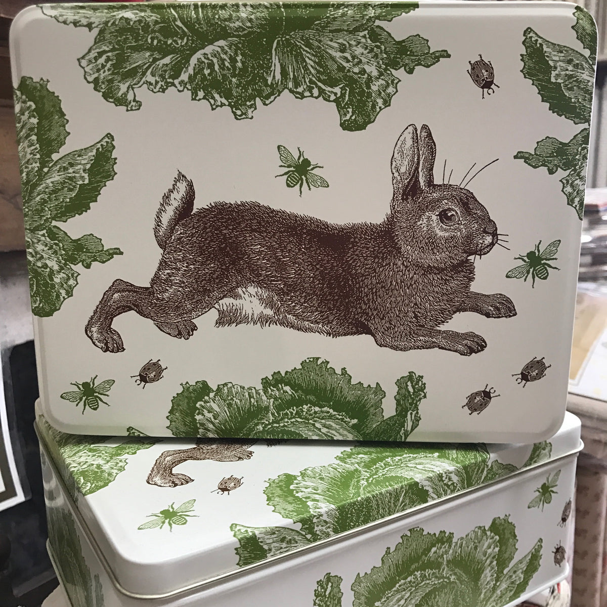 Rabbit Tin – Homepatch